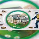 MindStick User Selecta Sol – MindStick